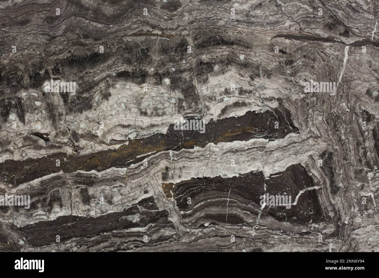 Arabescato Orobico Grigio matte marble texture close-up Stock Photo - Alamy