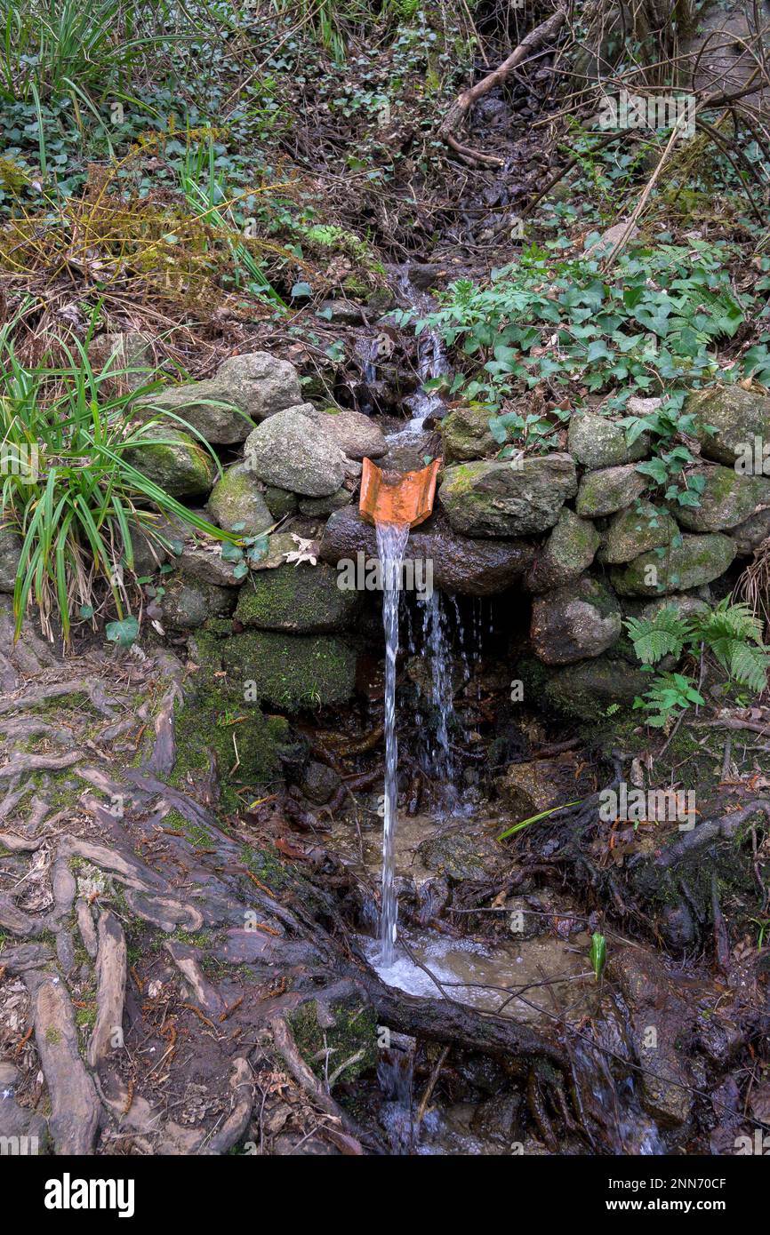 natural water source with a tile to channel the stream stones with moss ...