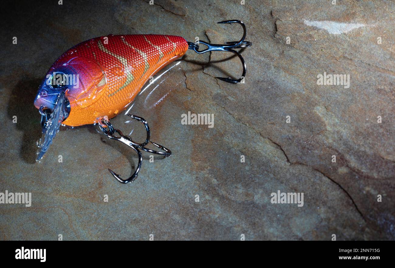 Wet orange and red fishing lure on a rock with copy space Stock Photo ...