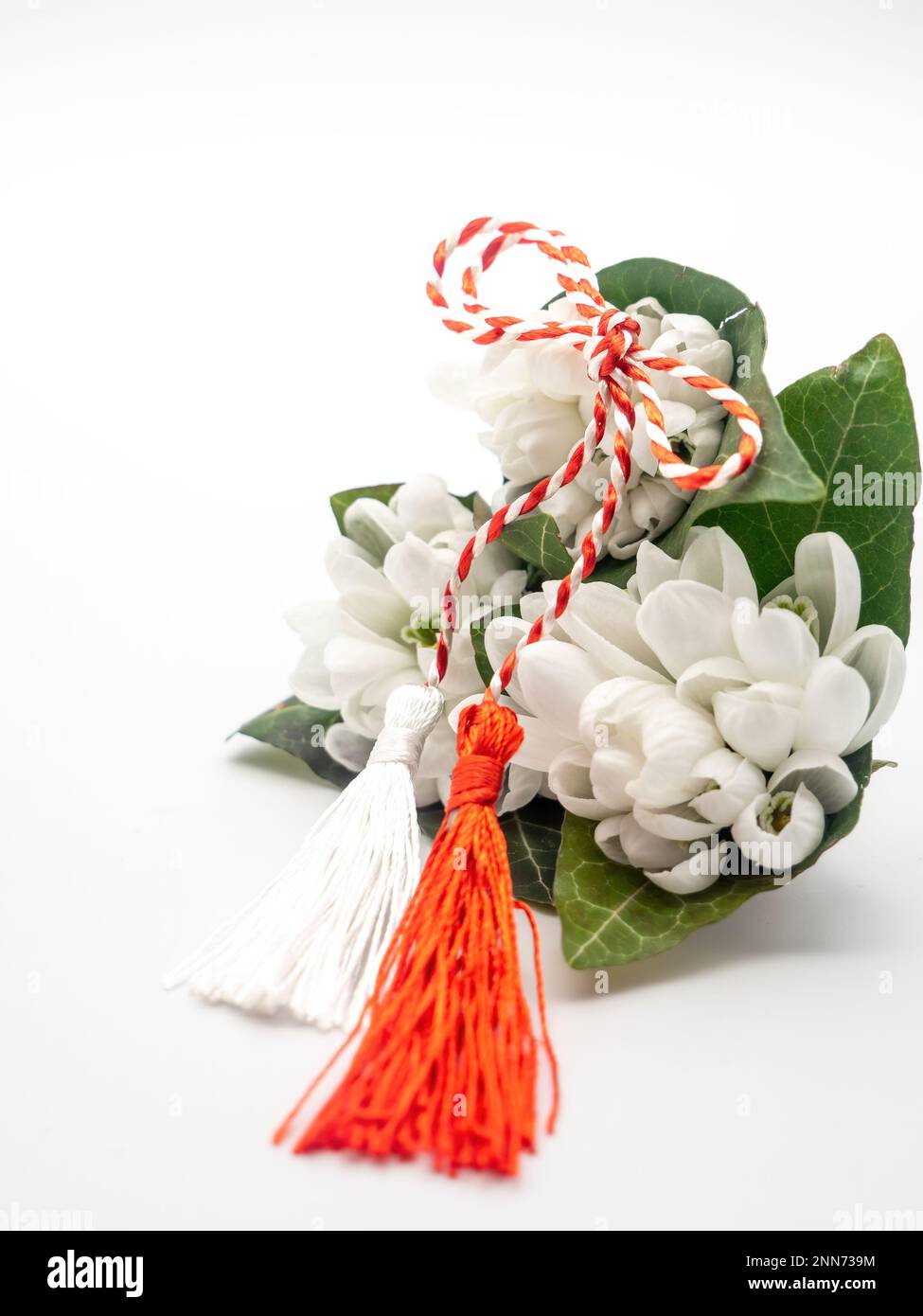 bouquet of snowdrops and red white strings and tricolor brooch on white ...