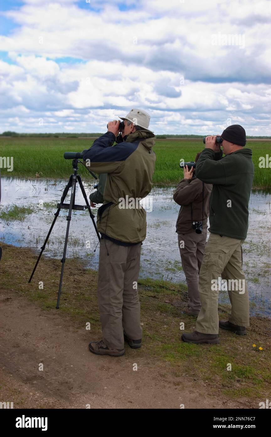 Birdwatchers watching birds and nature with spotting scope on a tripod ...