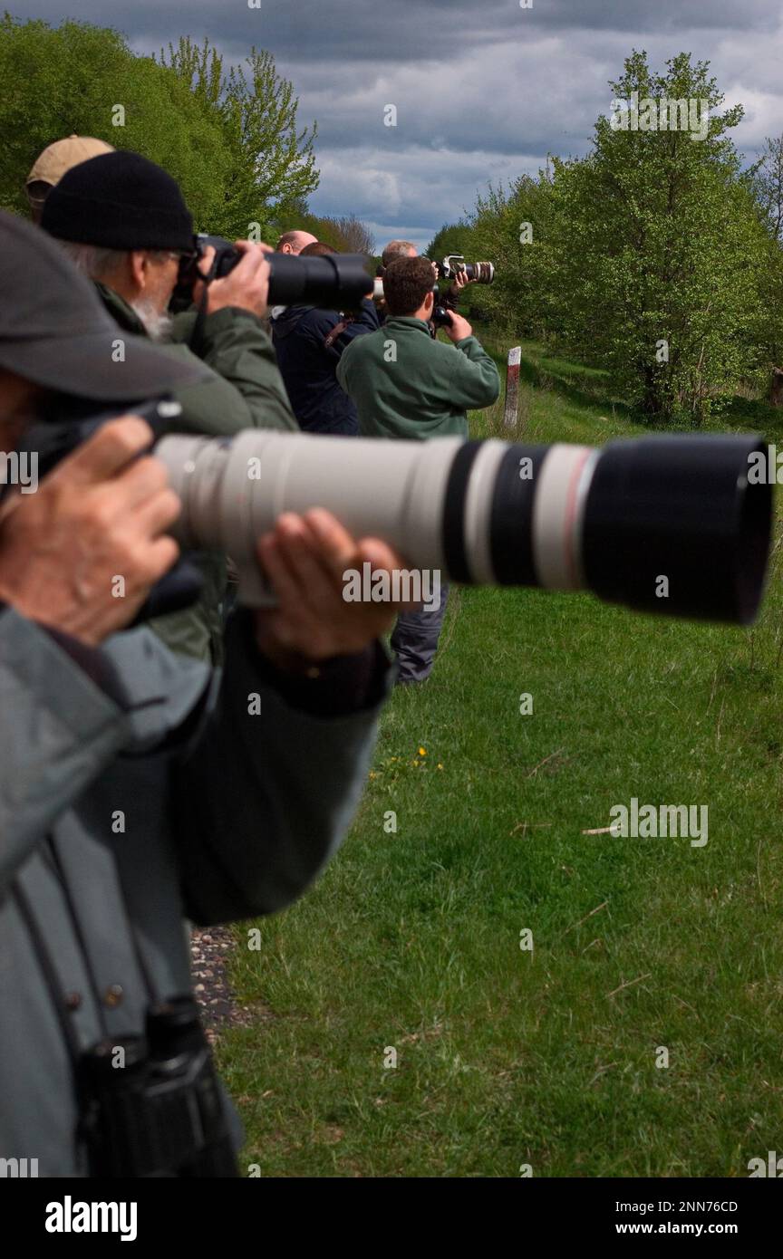 Group of nature photographers taking pictures of birds and nature with ...