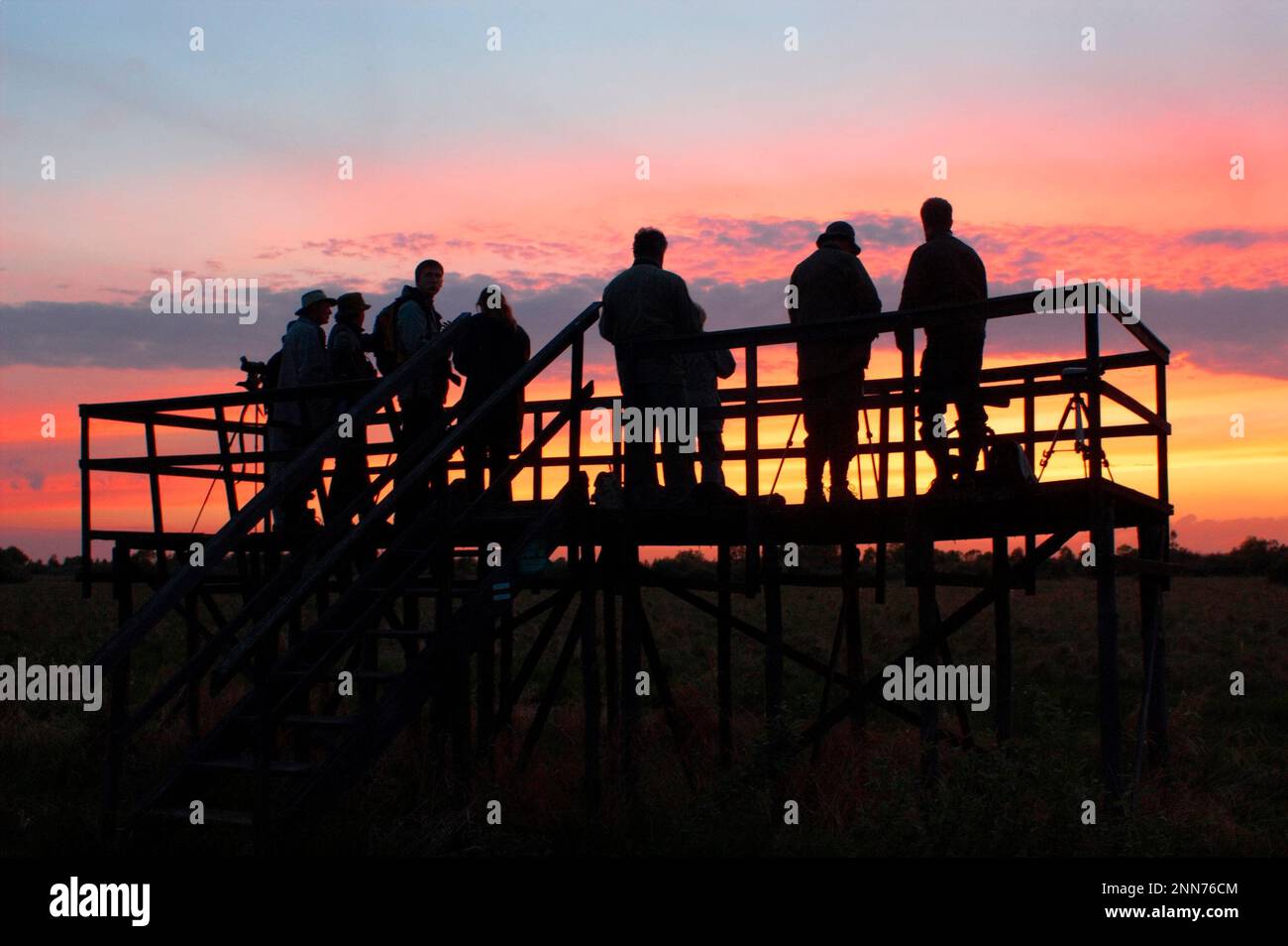 Birdwatchers watching birds and nature from a raised deck right after ...