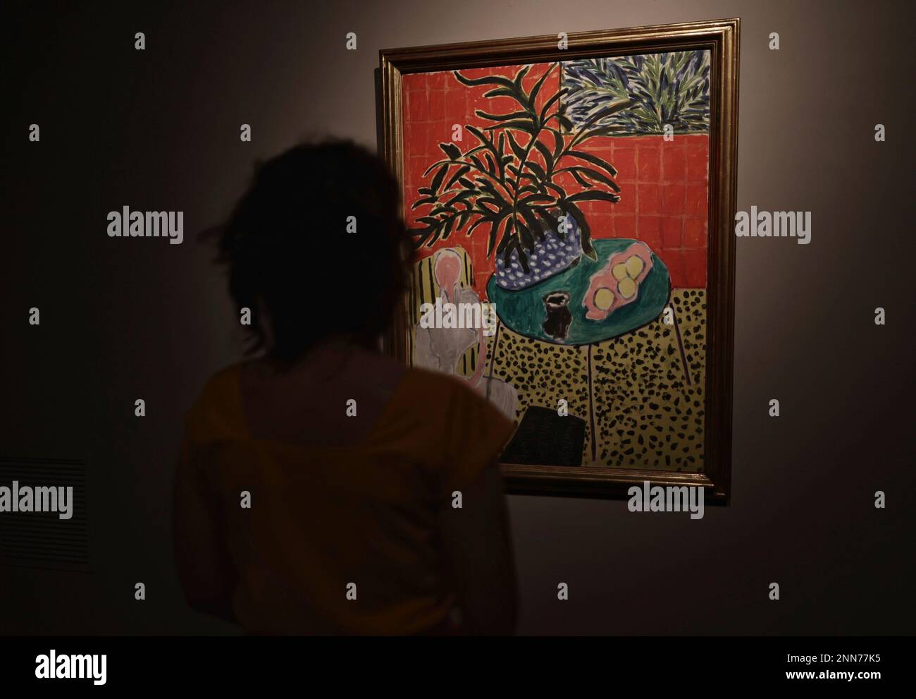 A woman looks at Matisse's 'Interior with black fern' on the first day ...