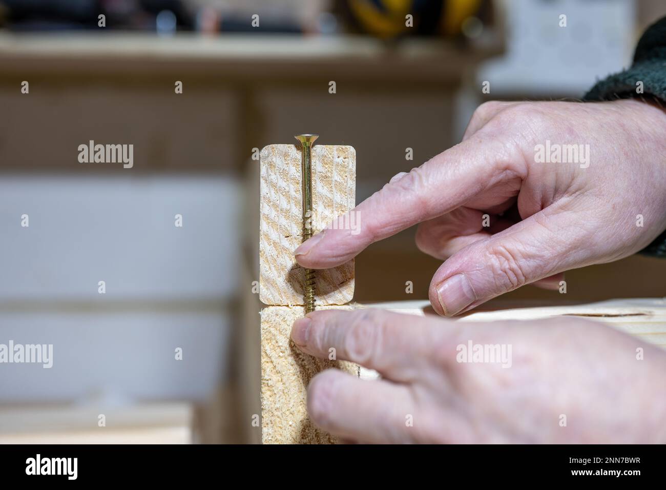 tradesman carpenter holding nickle wood screwpositioned to test gauge ...