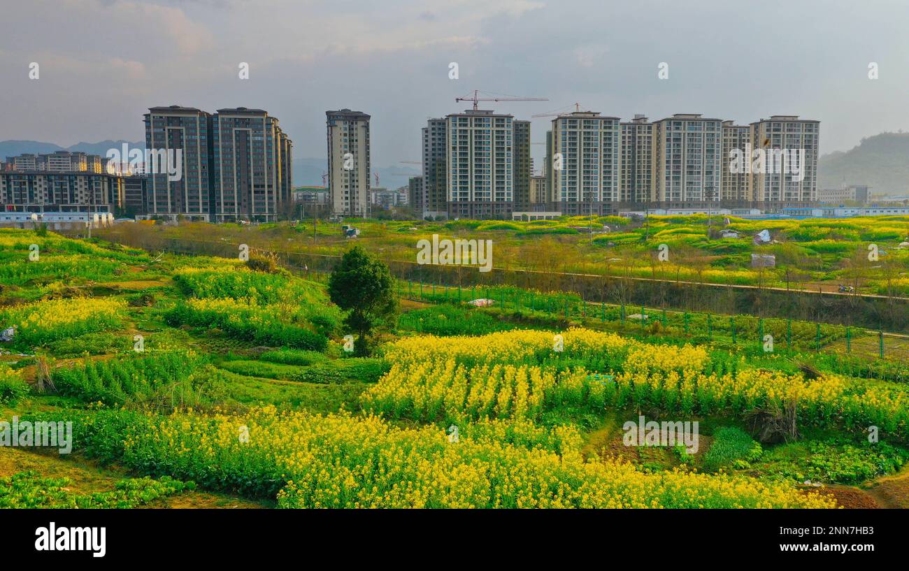 CHONGQING, CHINA - FEBRUARY 25, 2023 - The Shuanggui New Town ...