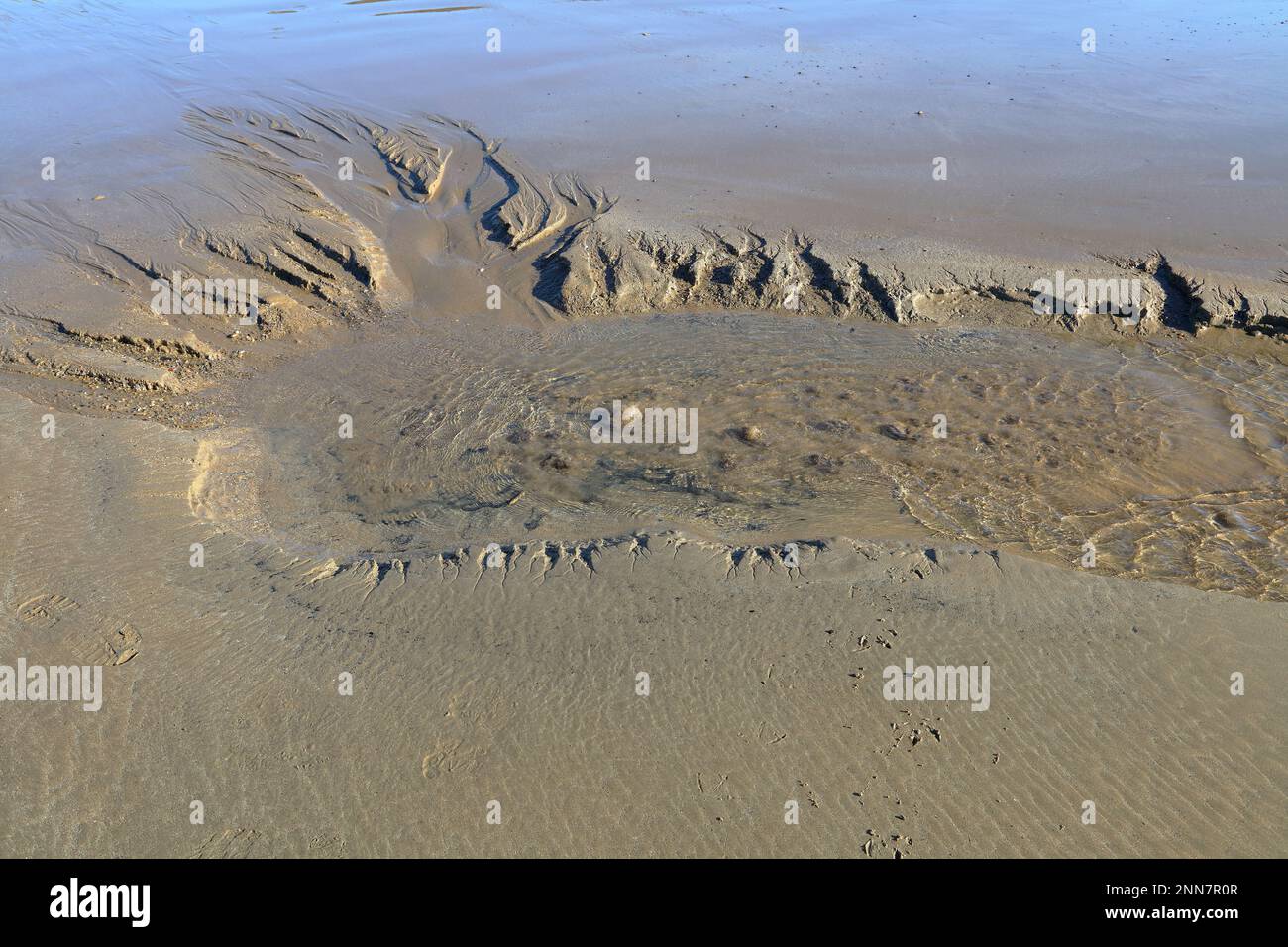 A point in the sands where a natural spring of fresh water rises at low ...