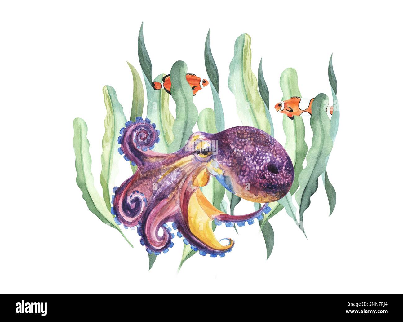 Octopus in algae seaweed bubbles watercolor illustration hand drawn ...