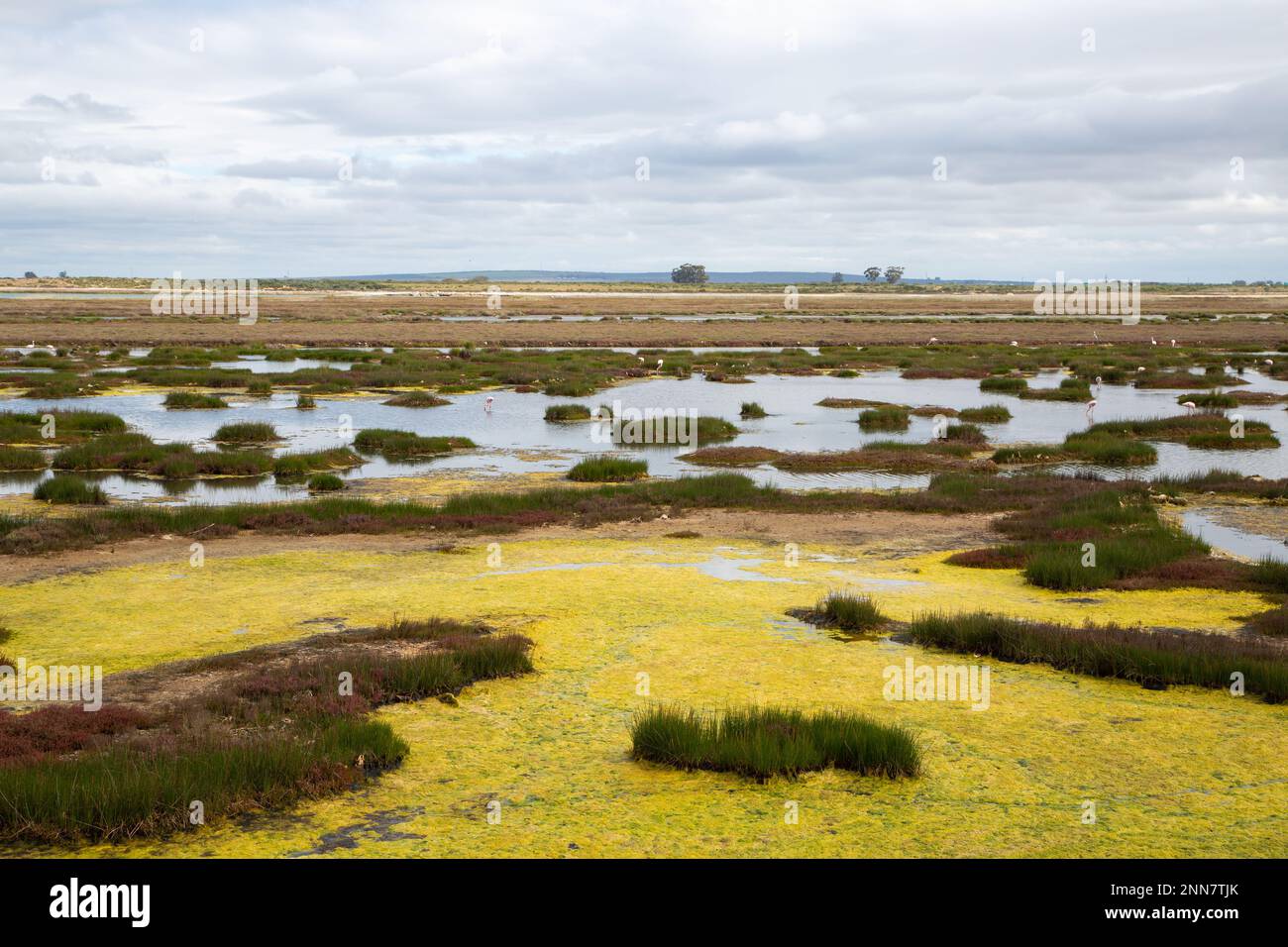View on a bay in direction of the sea in Velddrif in the Western Cape ...