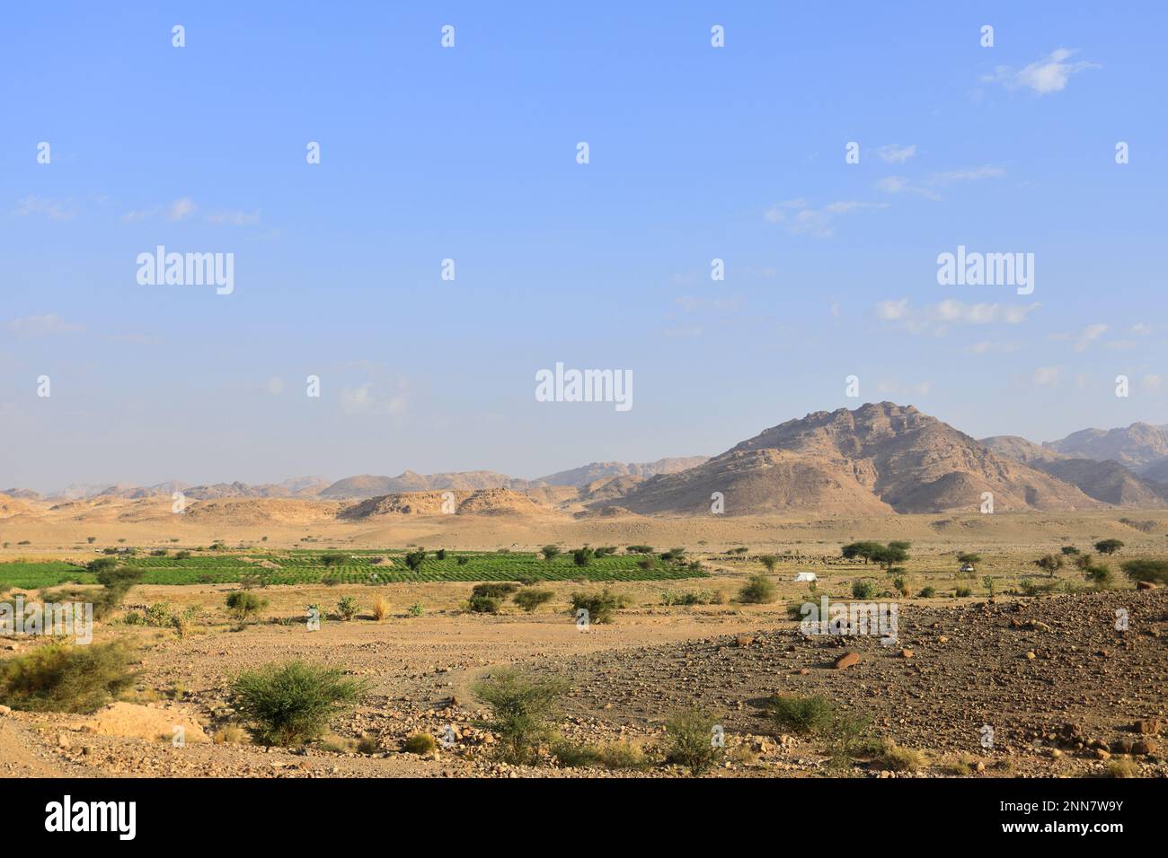 View over the Hamada rocky landscape in Wadi Feynan, Al-Sharat, Wadi ...