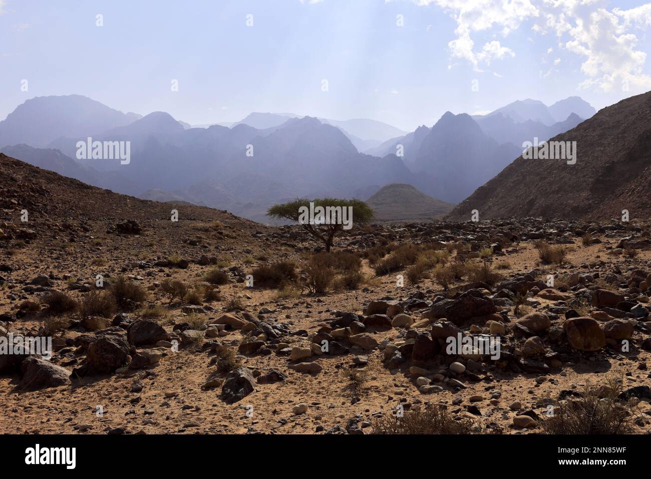View over the Hamada rocky landscape in Wadi Feynan, Al-Sharat, Wadi ...