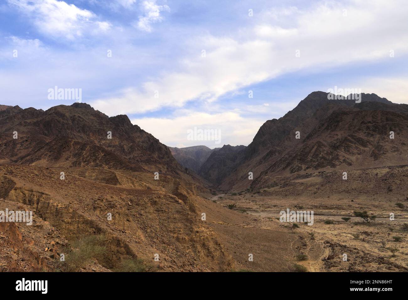 View over the landscape in Wadi Barwas, Al-Sharat, Wadi Araba Desert ...