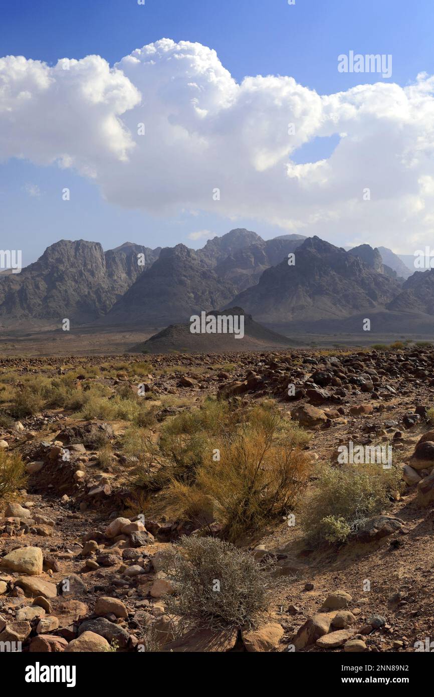View over the Hamada rocky landscape in Wadi Feynan, Al-Sharat, Wadi ...