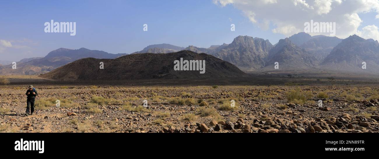 View over the Hamada rocky landscape in Wadi Feynan, Al-Sharat, Wadi ...