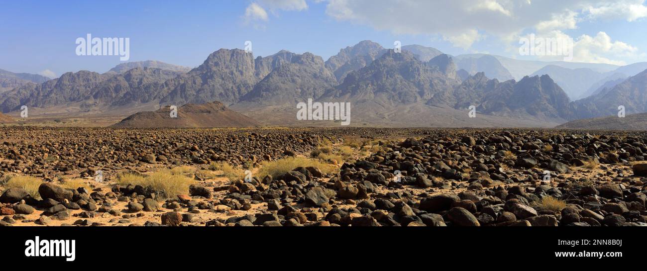 View over the Hamada rocky landscape in Wadi Feynan, Al-Sharat, Wadi ...
