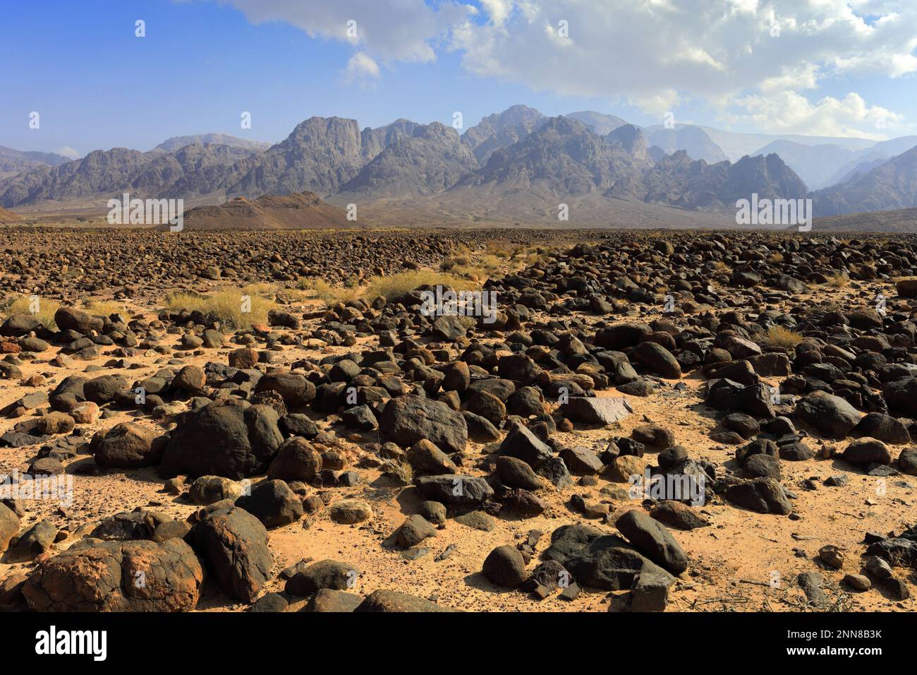 View over the Hamada rocky landscape in Wadi Feynan, Al-Sharat, Wadi ...