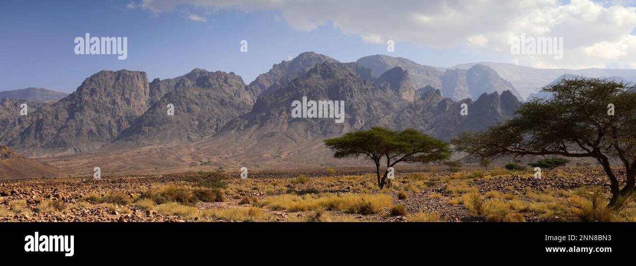 View over the Hamada rocky landscape in Wadi Feynan, Al-Sharat, Wadi ...