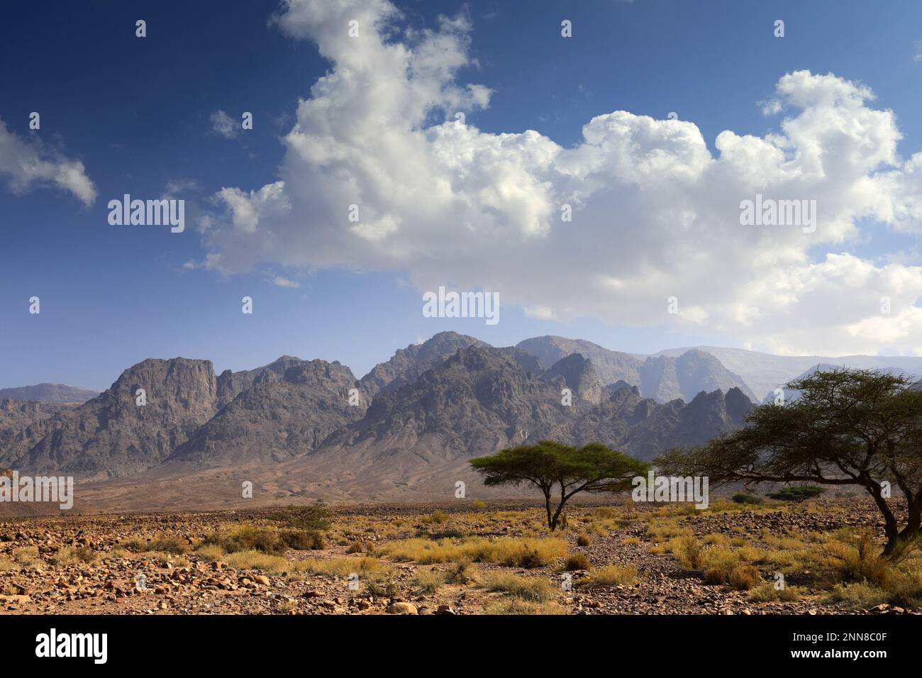 View over the Hamada rocky landscape in Wadi Feynan, Al-Sharat, Wadi ...