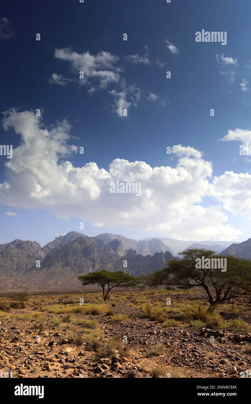 View over the Hamada rocky landscape in Wadi Feynan, Al-Sharat, Wadi ...