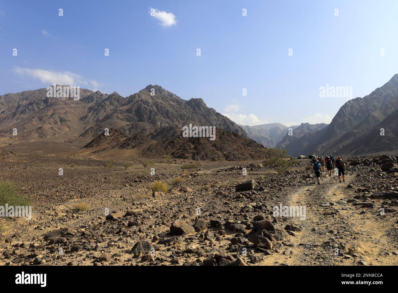 Walkers in the Hamada rocky landscape in Wadi Feynan, Al-Sharat, Wadi ...