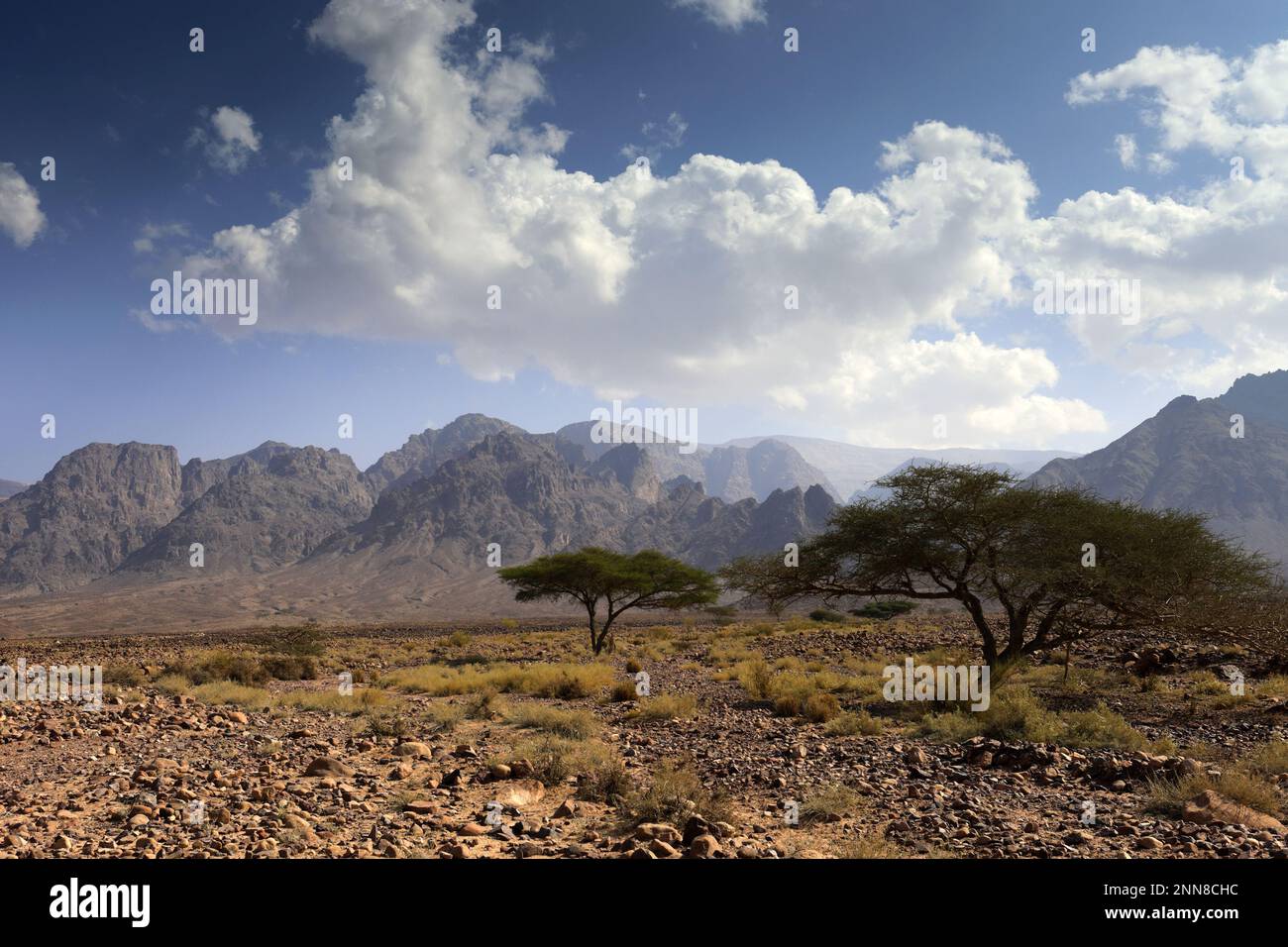 View over the Hamada rocky landscape in Wadi Feynan, Al-Sharat, Wadi ...