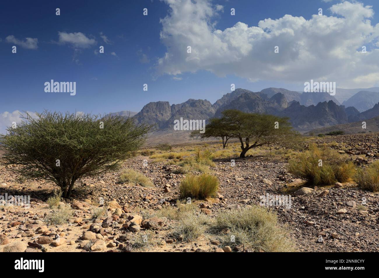 View over the Hamada rocky landscape in Wadi Feynan, Al-Sharat, Wadi ...