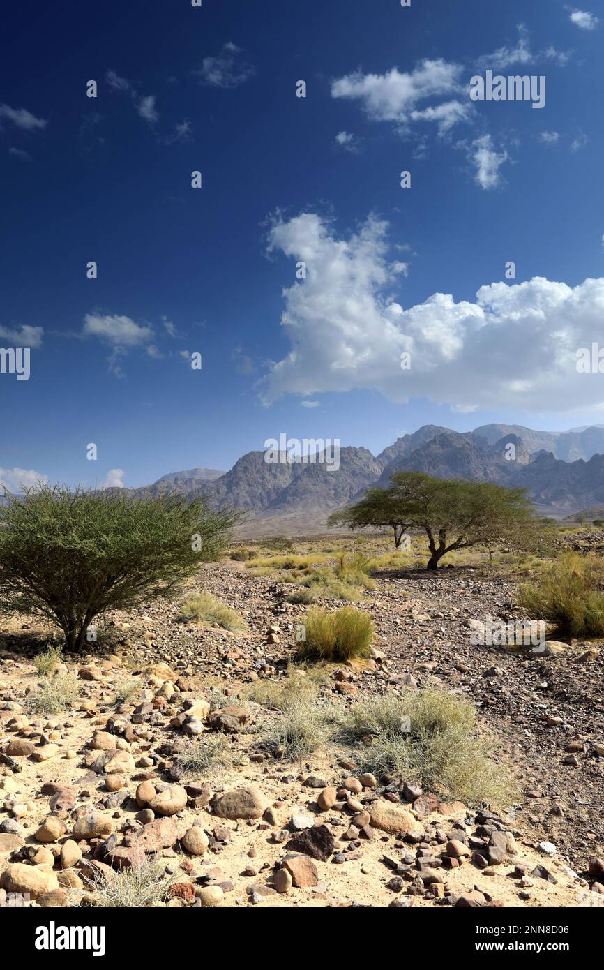 View over the Hamada rocky landscape in Wadi Feynan, Al-Sharat, Wadi ...
