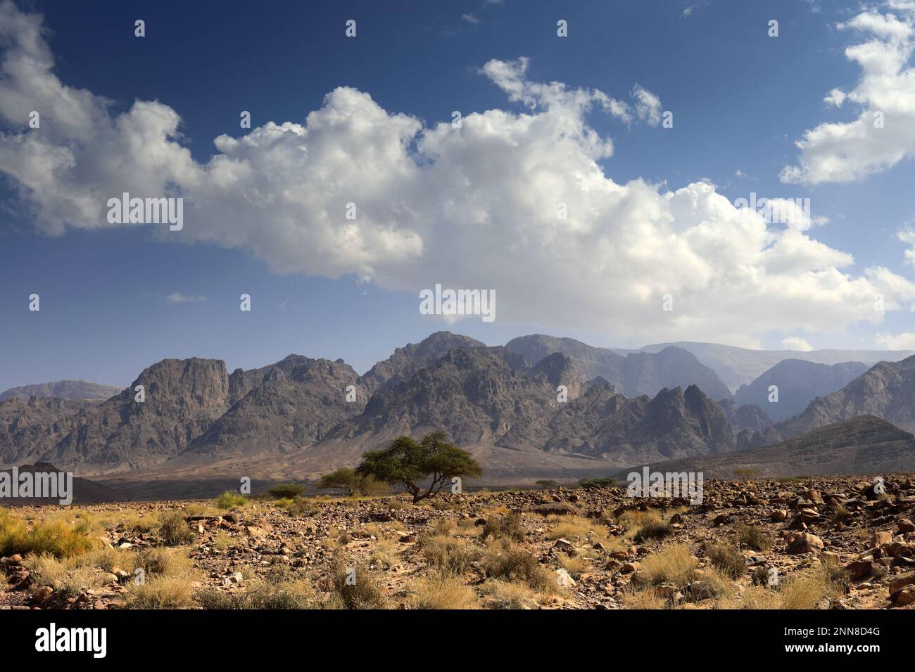 View over the Hamada rocky landscape in Wadi Feynan, Al-Sharat, Wadi ...