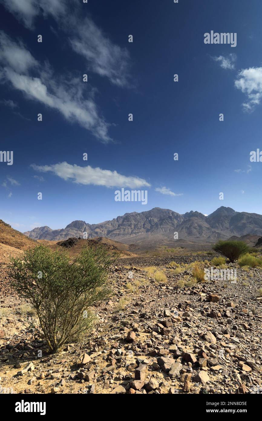View over the Hamada rocky landscape in Wadi Feynan, Al-Sharat, Wadi ...