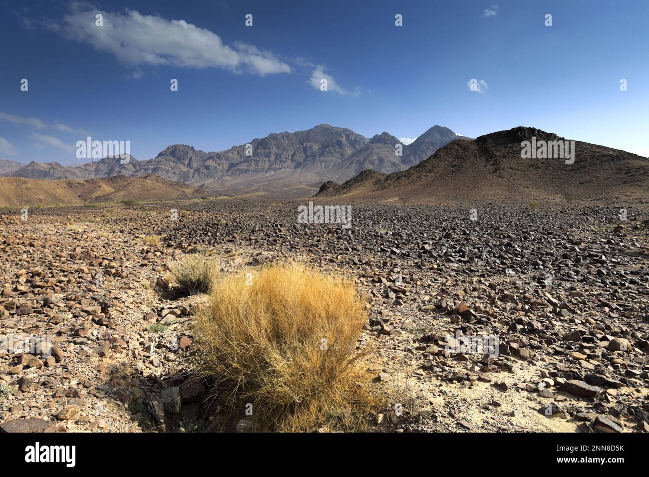 View over the Hamada rocky landscape in Wadi Feynan, Al-Sharat, Wadi ...
