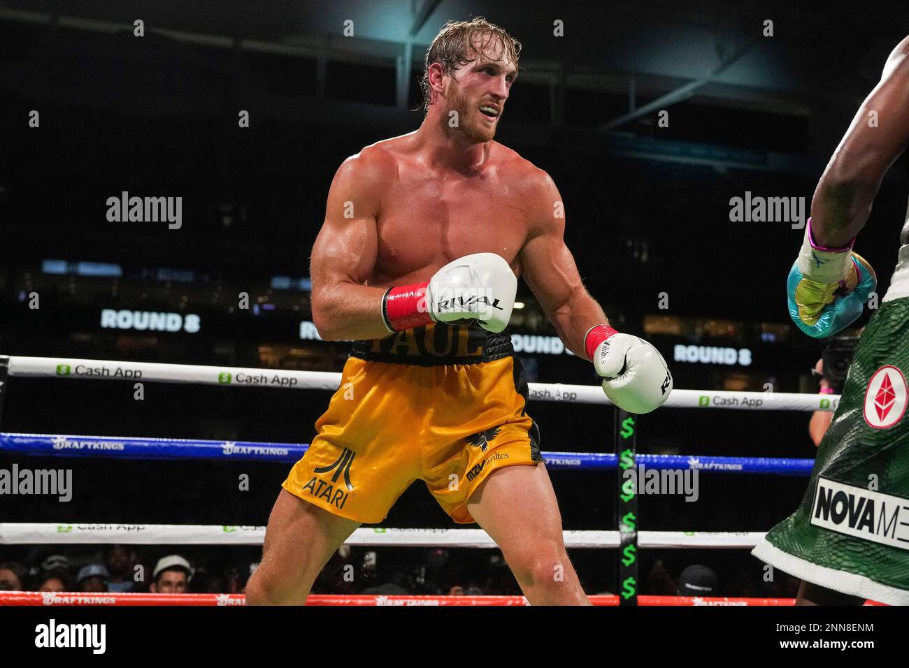 Influencer Logan Paul during a boxing special exhibition match at Hard ...