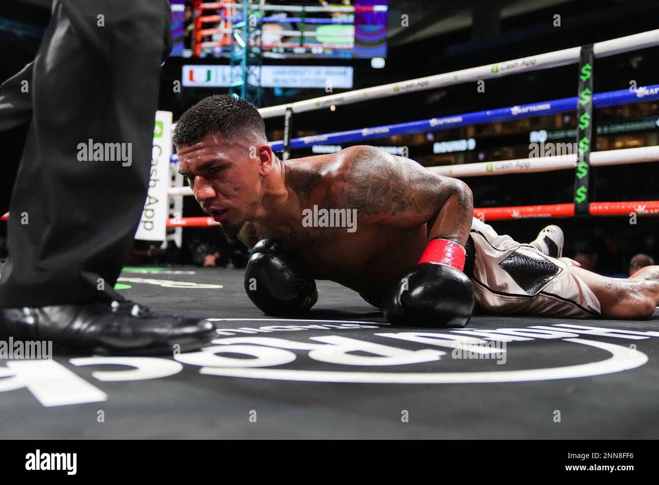 Boxer Luis Arias gets up after being knocked down during a boxing ...
