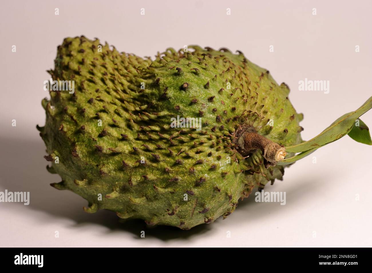 Soursop seeds hi-res stock photography and images - Alamy