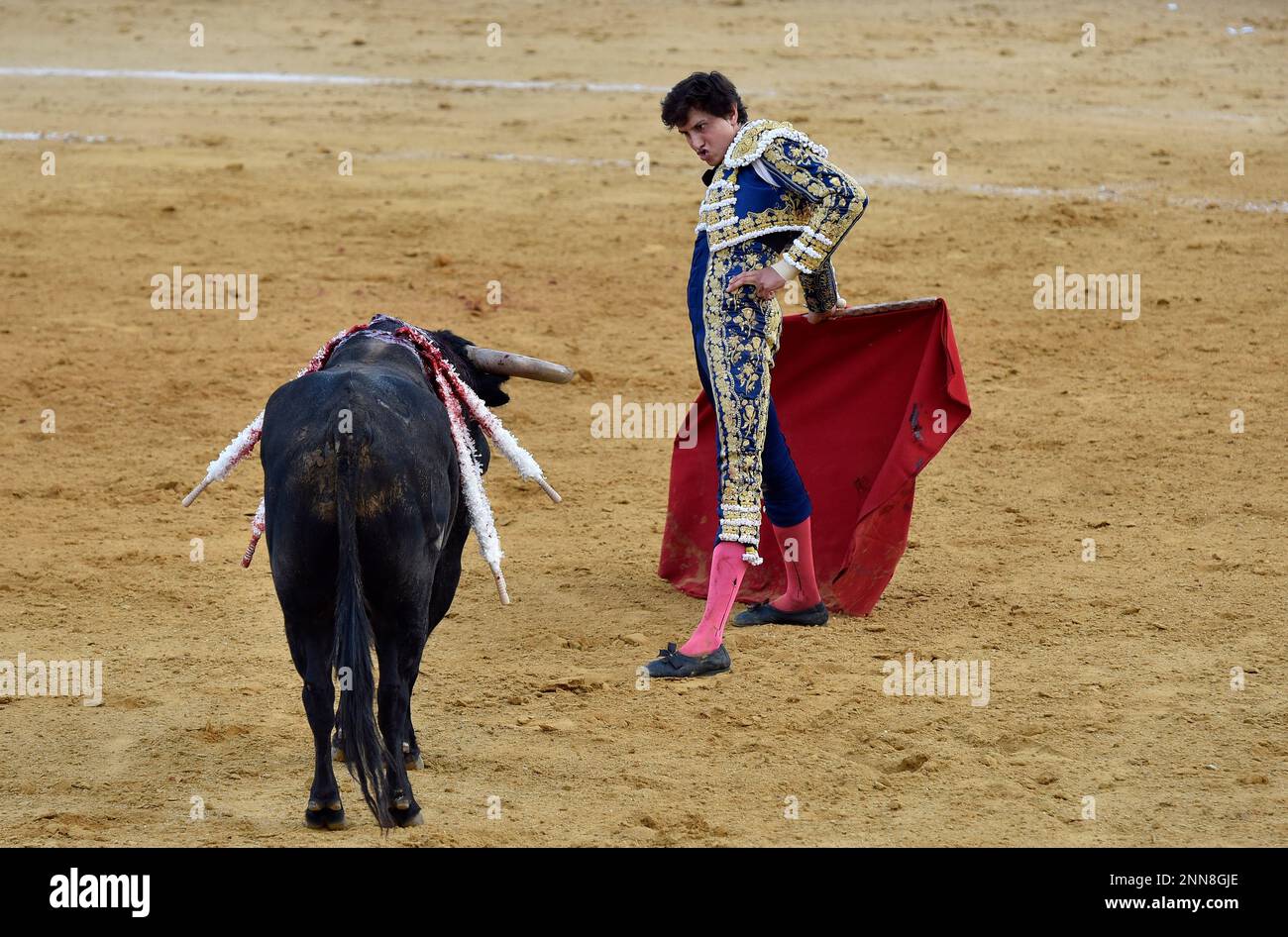 Andrés Roca Rey during his bullfight in the bullring on June 6, 2021 ...