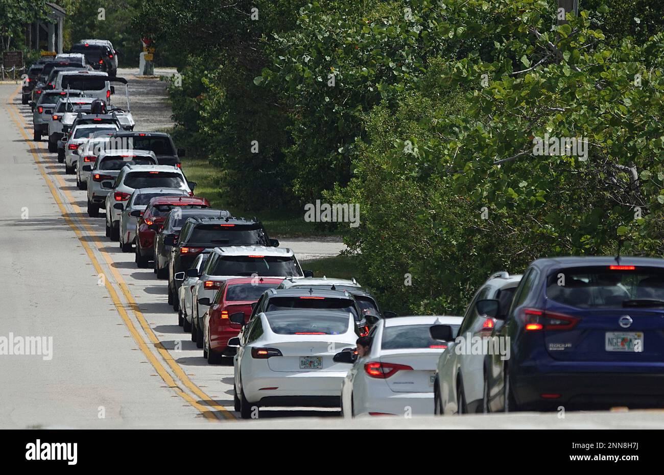 A line of cars waits to enter Dr. Von D. Mizell Eula Johnson State Park ...