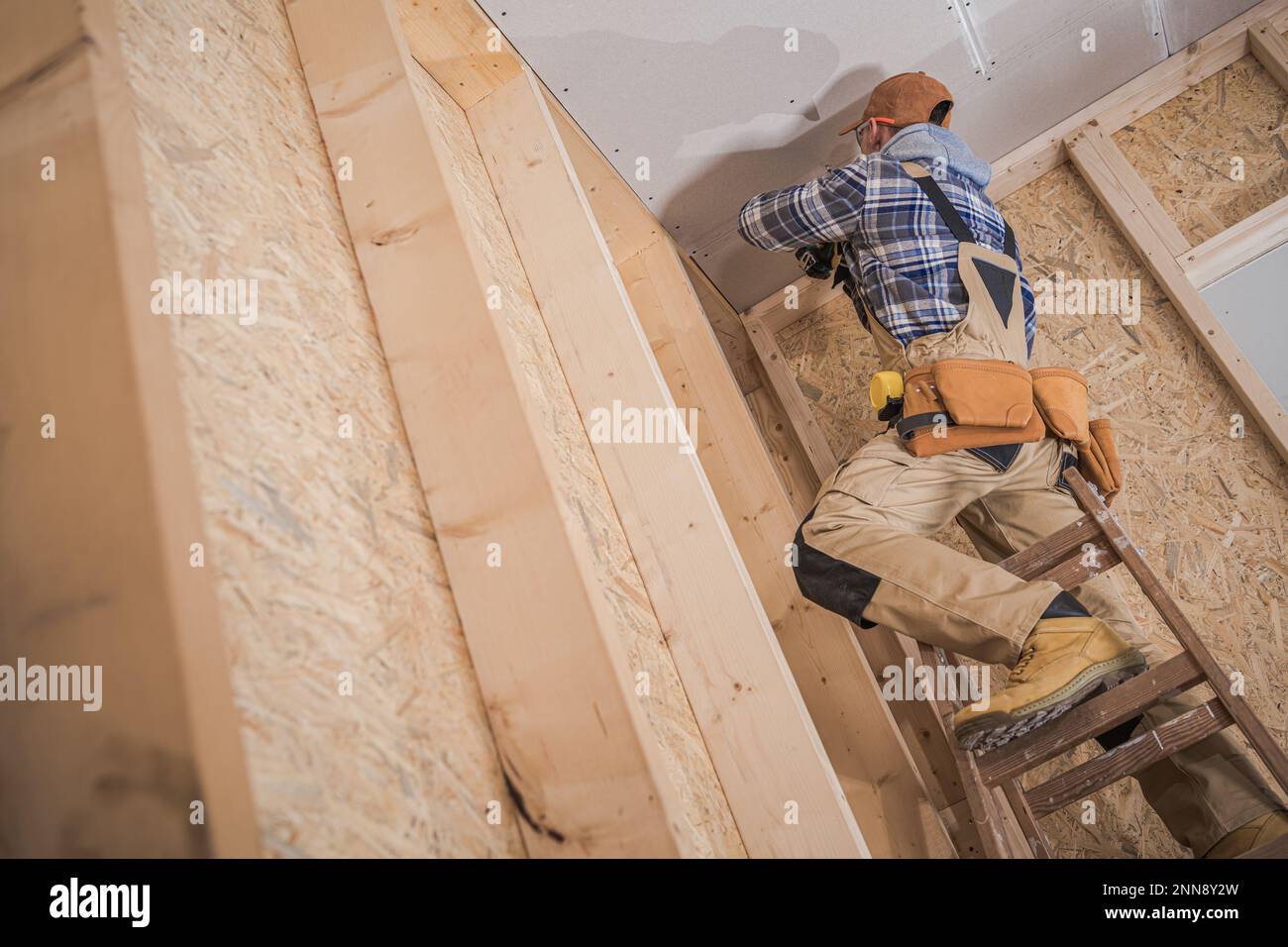Professional Contractor Standing on Ladder During Ceiling Installation ...