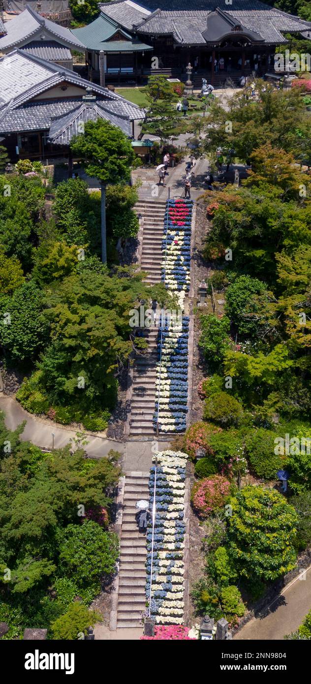 A drone photo shows "rising dragon" drawn with hydrangeas at the stone ...
