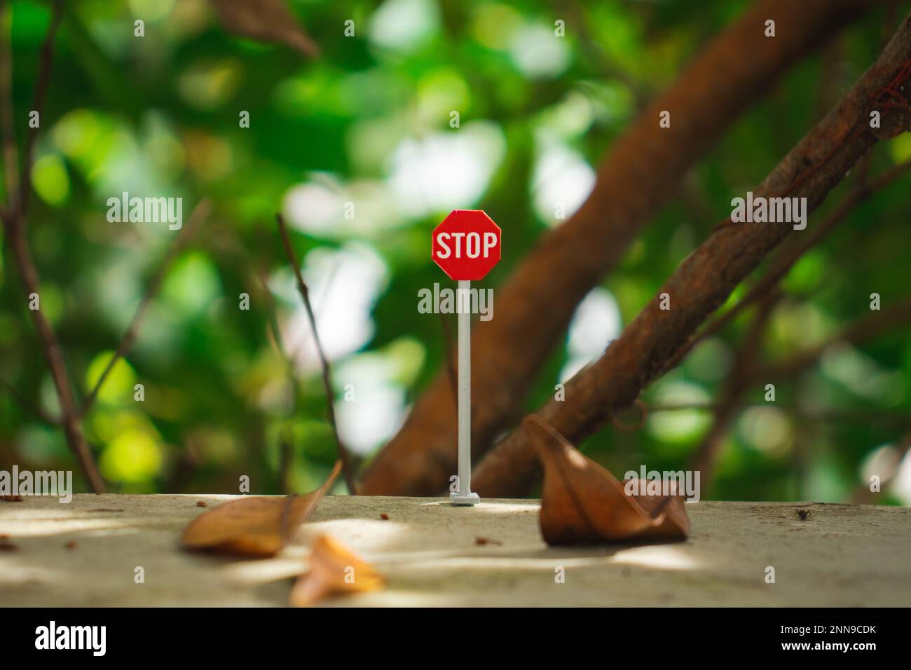 A photo of a stop sign miniature with branch and leaves background ...