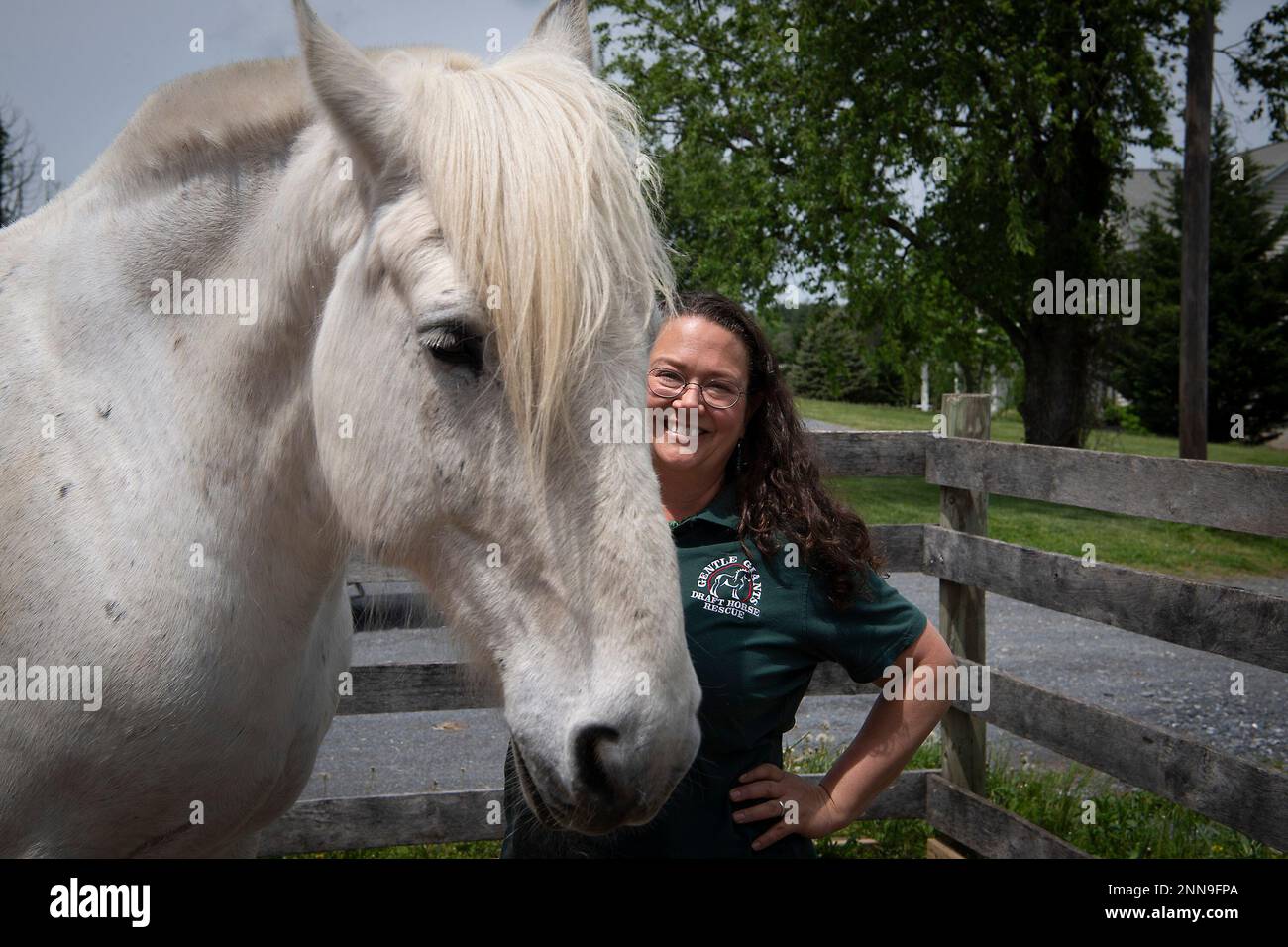 Christine Hajek, founder of Gentle Giants Draft Horse Rescue, in Mt. Airy, Md., poses with a ...