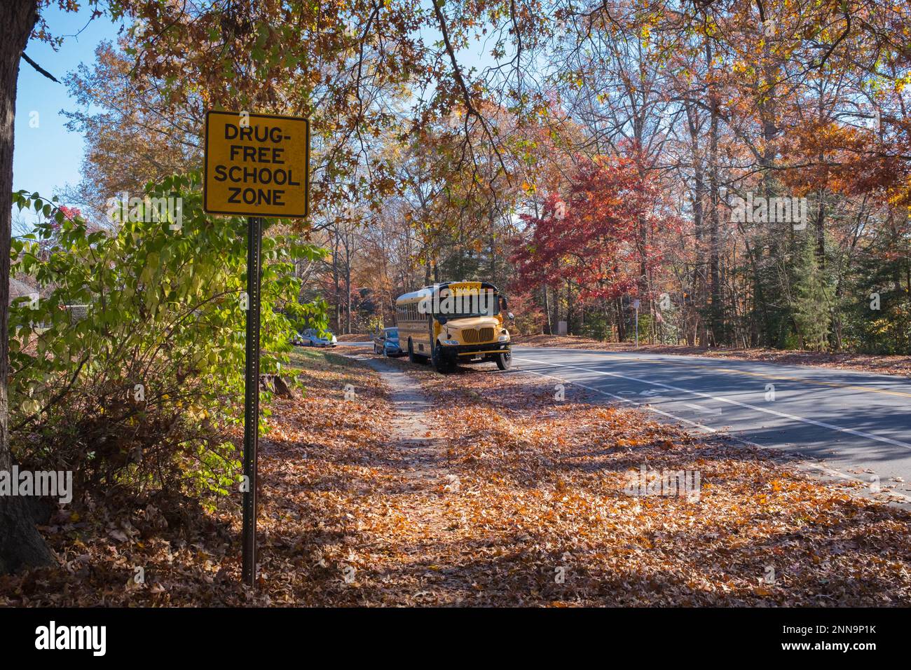 School bus behind a drug free school zone sign, North Shore Drive ...