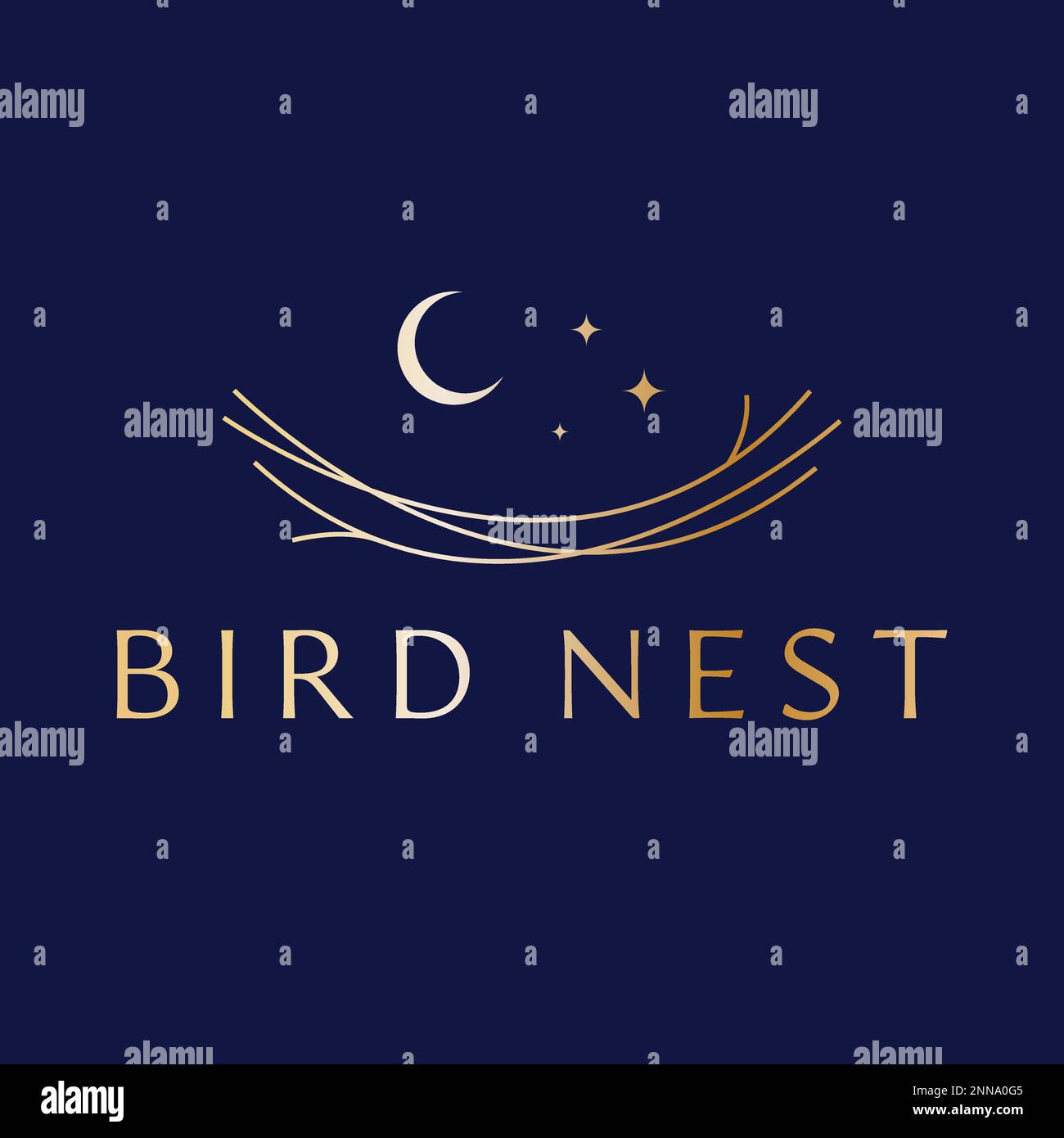 Bird eggs unusual Stock Vector Images - Alamy