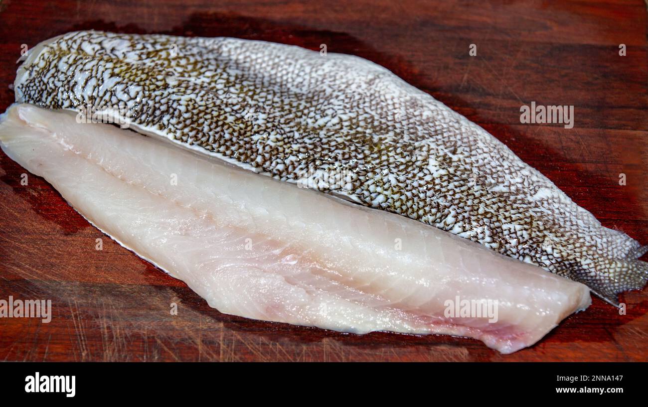 Sea fish fillet (Pseudopercis numida) isolated in selective focus ...