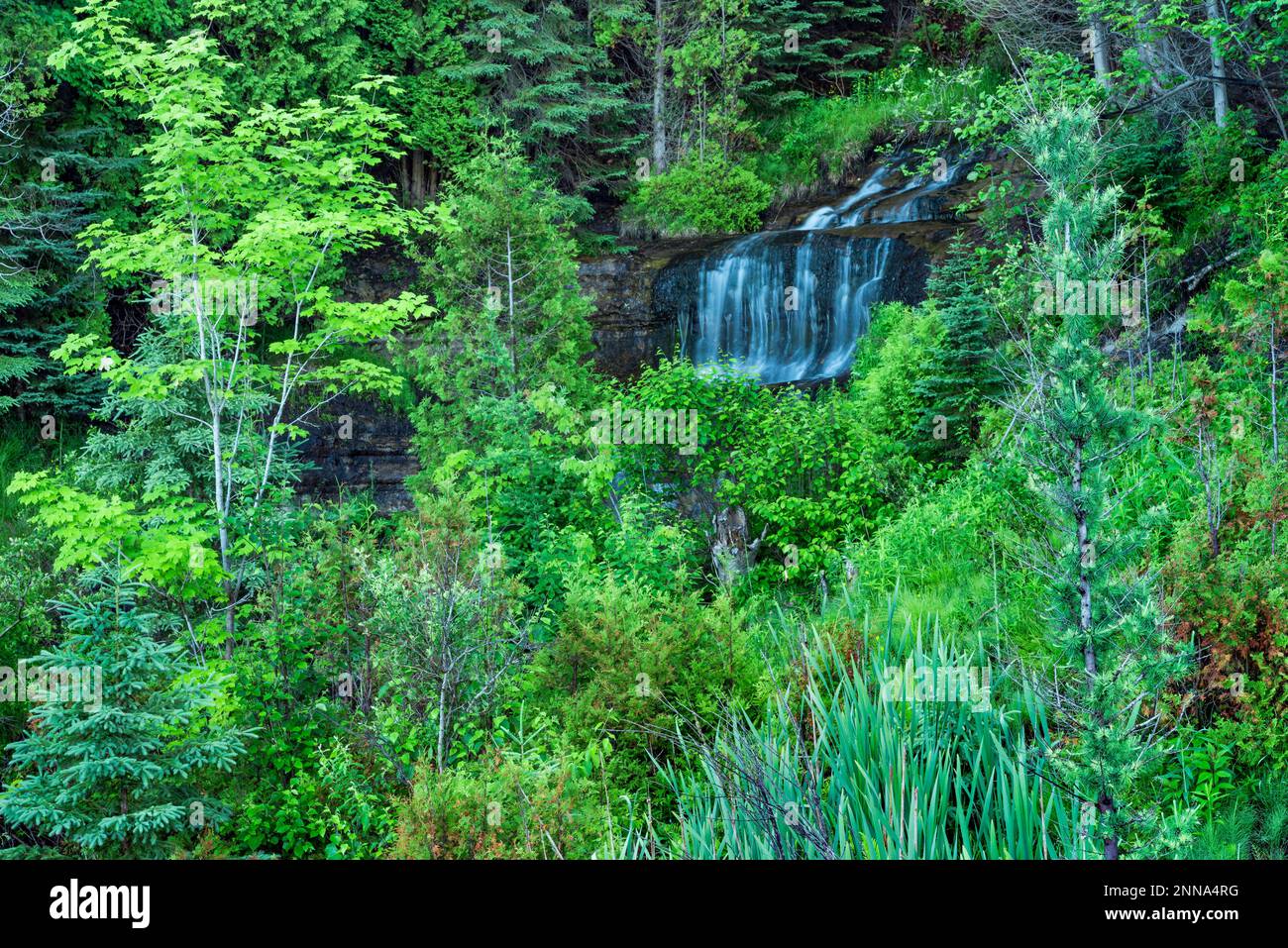 Alger Falls, Munising, Alger Co., MI Stock Photo - Alamy