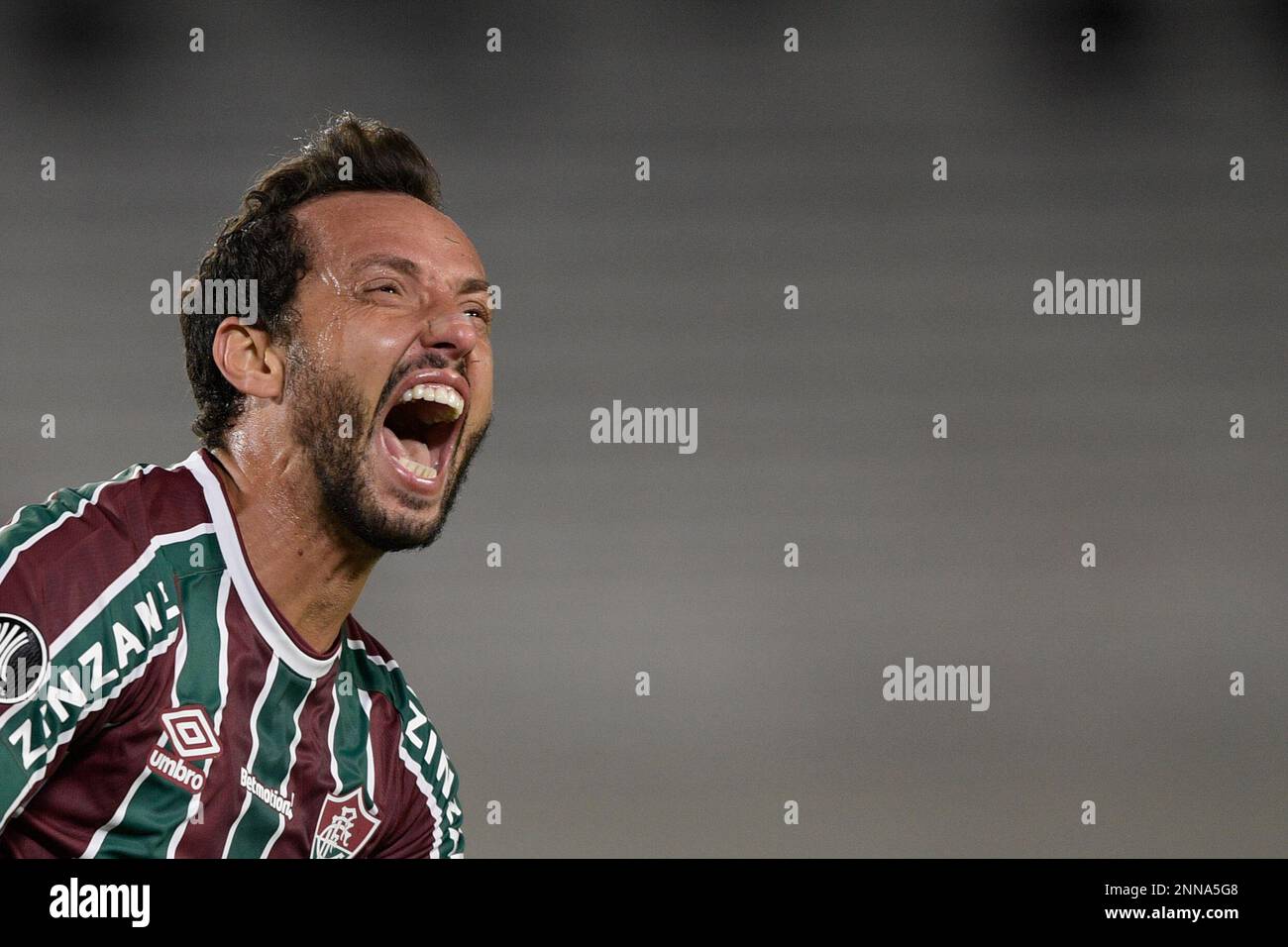 Nene of Brazil's Fluminense celebrates scoring his side's second goal ...