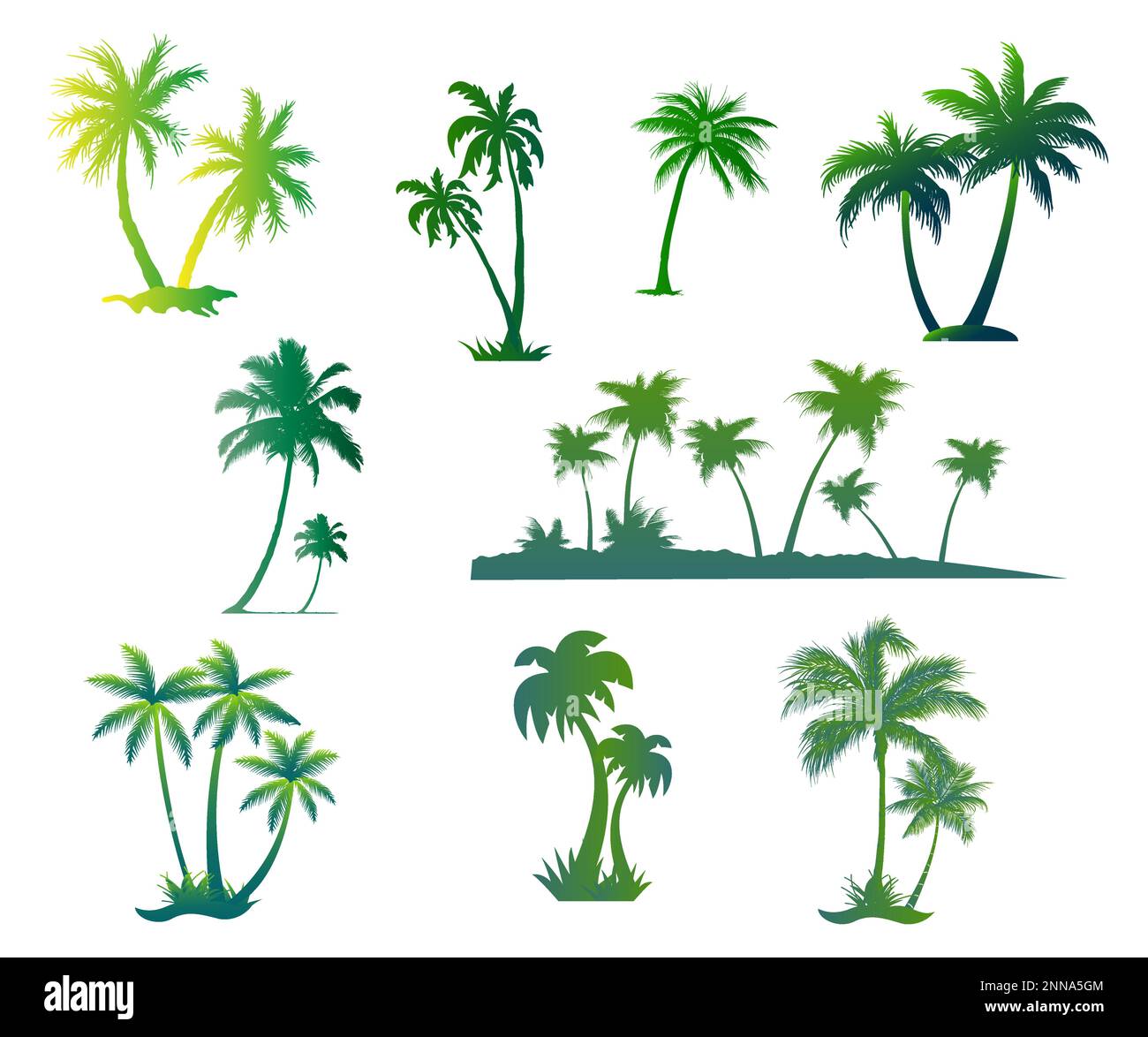 Tropical Palm Trees Green Gradient Vector Icon Set Stock Vector Image & Art - Alamy