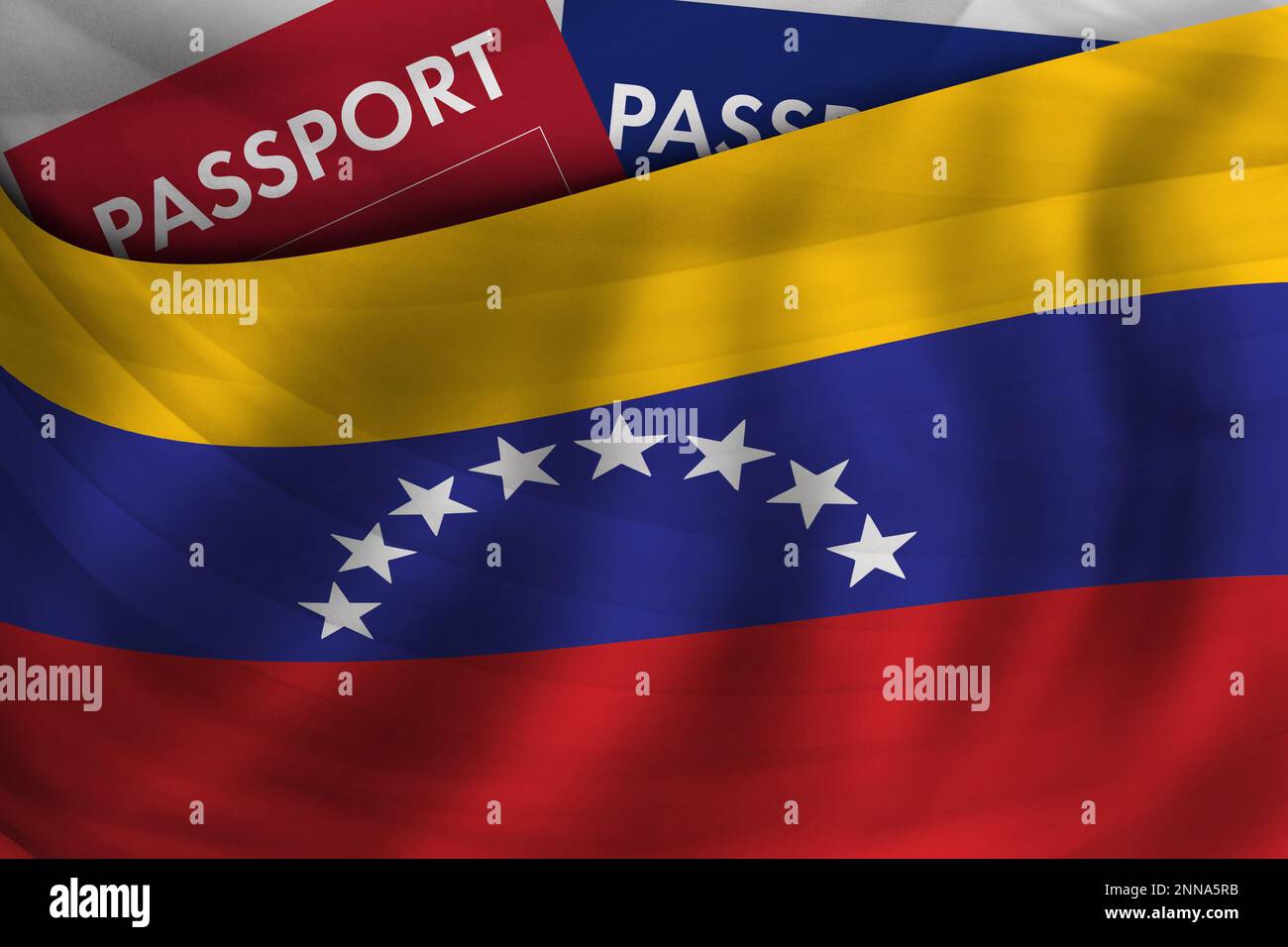Official Venezuelan Flag