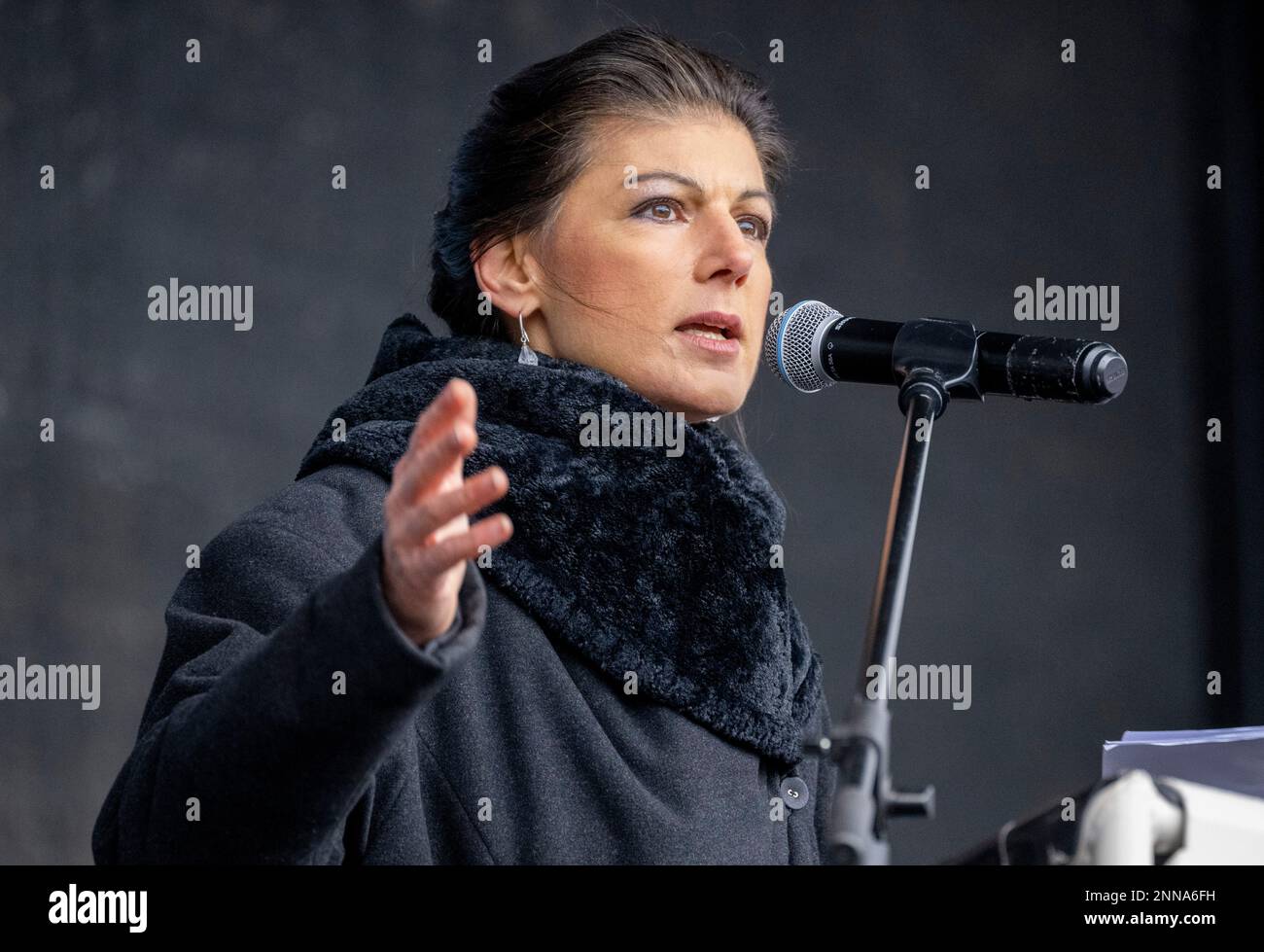 Sahra wagenknecht rally hi-res stock photography and images - Alamy