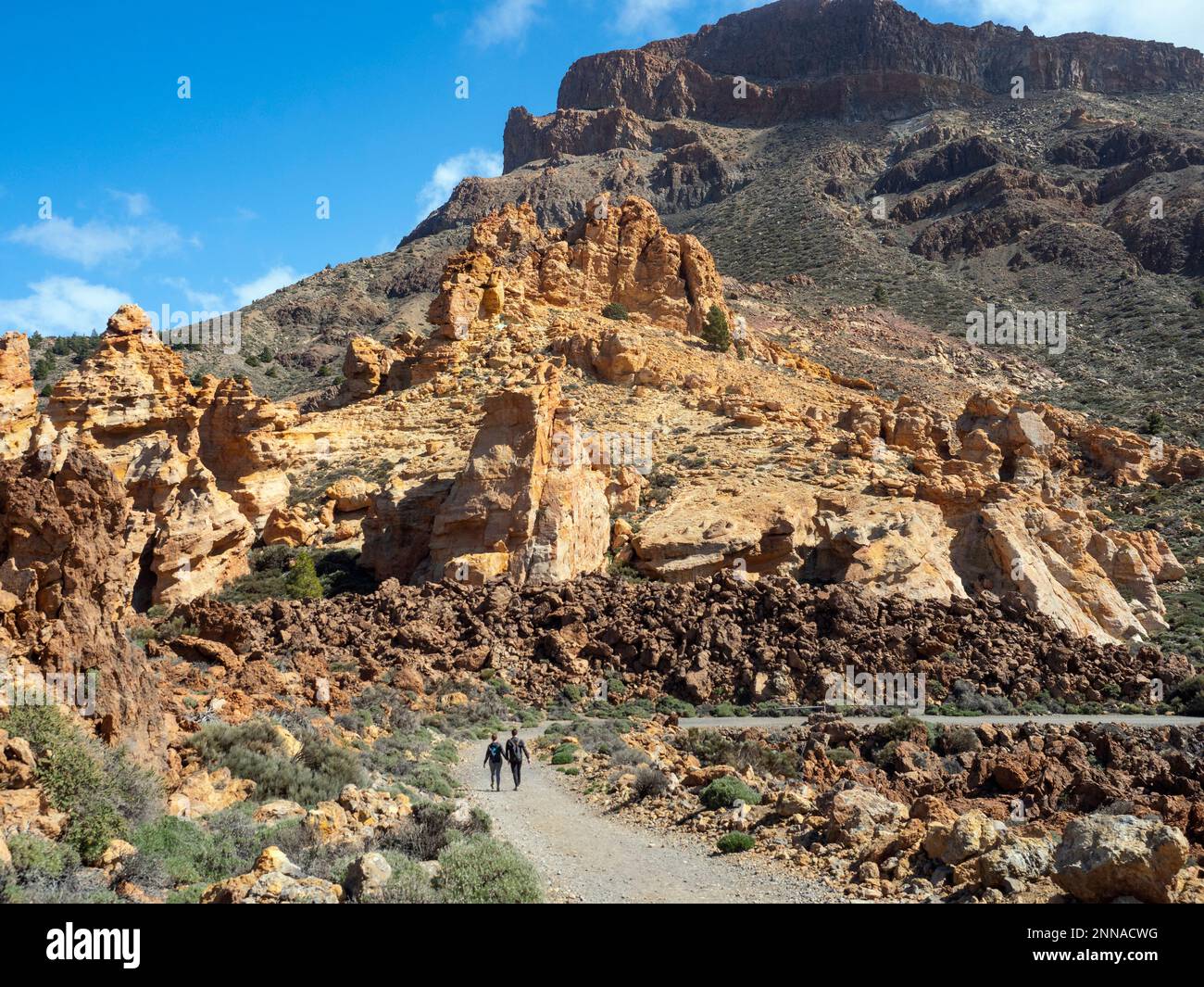Mount Teide National park Tenerife Canary Islands Stock Photo - Alamy