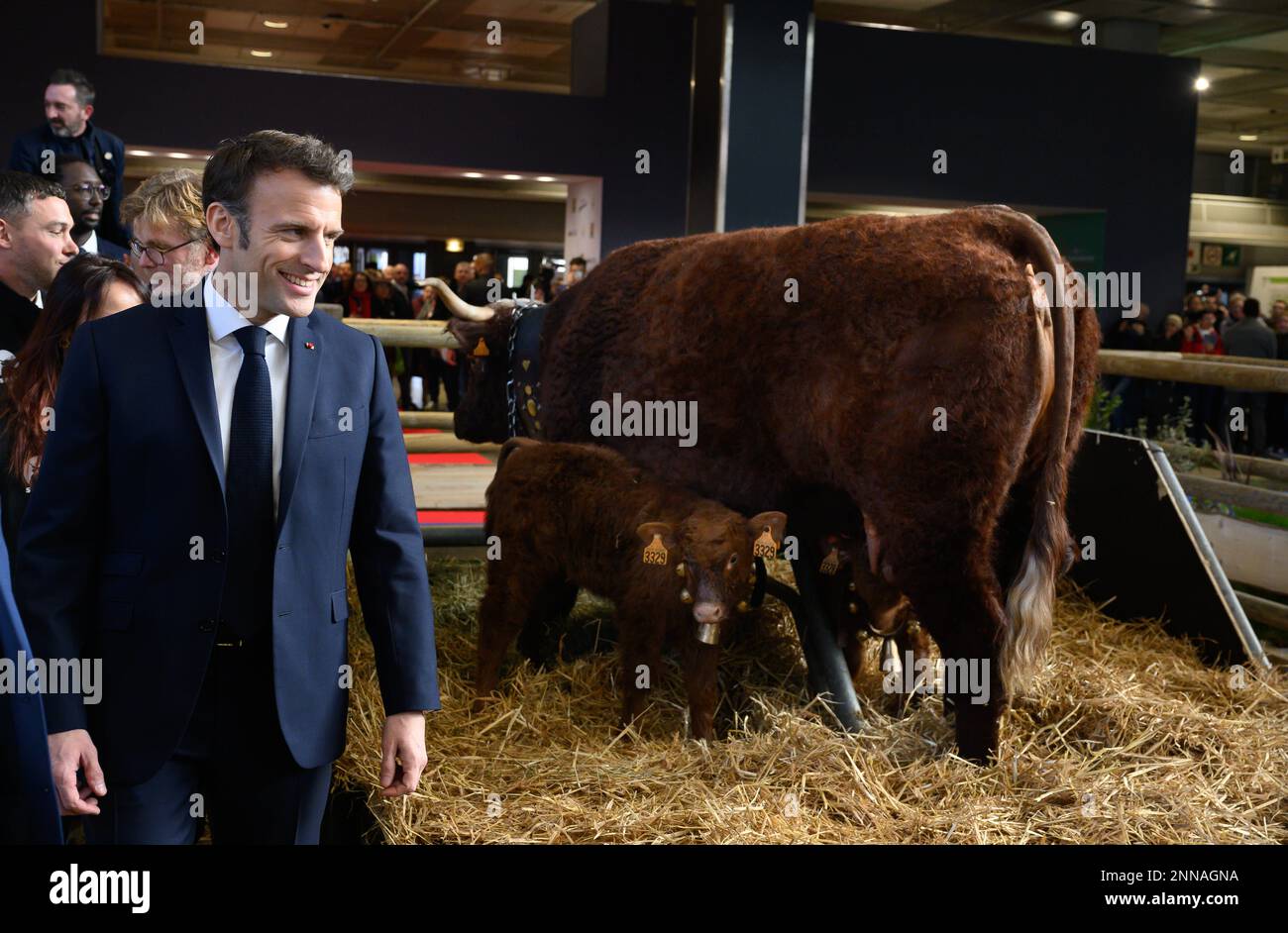 Paris, France. 25th Feb, 2023. Emmanuel Macron looking the cow Ovalie ...