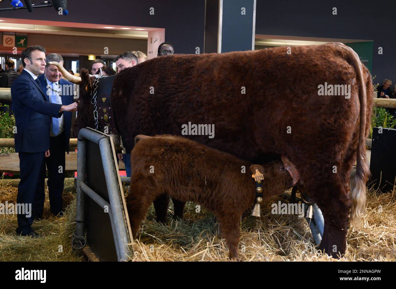 Paris, France. 25th Feb, 2023. Emmanuel Macron looking the cow Ovalie ...